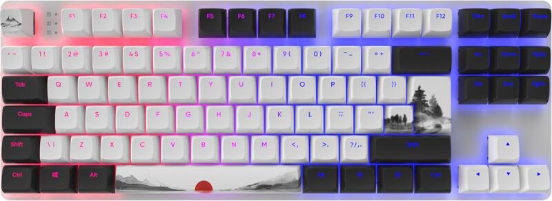 Dark Project 87 Fuji RGB TKL G3MS Sapphire Switches (FSH-DPO-KD-87A ...