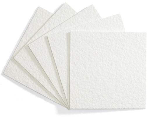 Filtrox Elvetia Placa filtranta Fermier AF 21 40x40, dimensiune mare ...