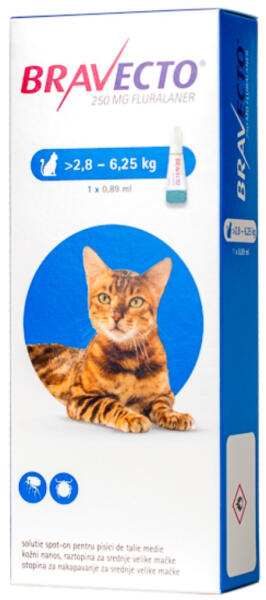 MSD Bravecto Spot On Pisica 2.8-6.25 kg, 250 mg, 1 pipeta (Antiparazitari pisici) - Preturi