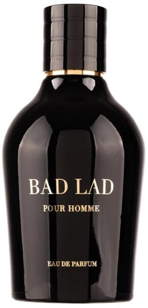 Fragrance World Bad Lad pour Homme EDP 100 ml Preturi Fragrance World ...