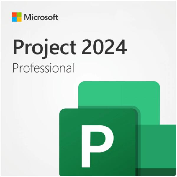 Microsoft Project Professional 2024 (EP2-07001) (Aplicatii Office ...