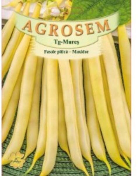 AGROSEM Seminte Fasole pitica galbena rotunda Maxidor TRATAT AGROSEM ...