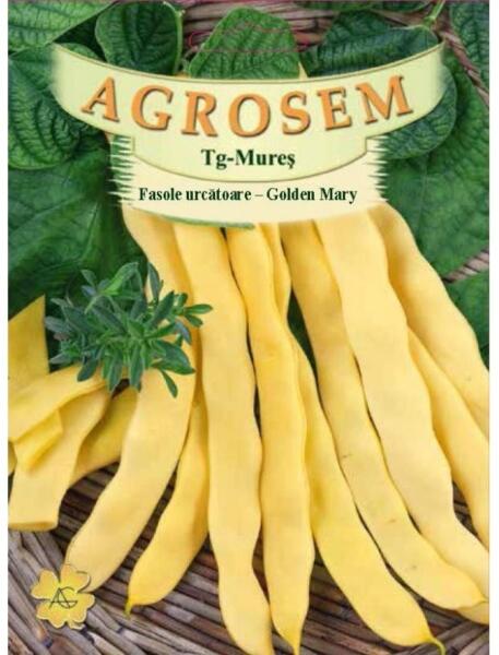 AGROSEM Seminte Fasole urcatoare galbena lata Golden Mary TRATAT ...