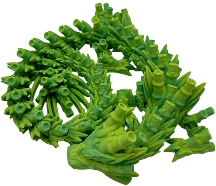 3D Morph Lab 3D Print 3D Morph Lab - Dragon, Bamboo, gradient ...