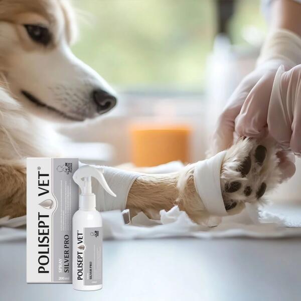 JM SANTE Polisept Vet Spray Silver Pro - wound solution for dogs and ...
