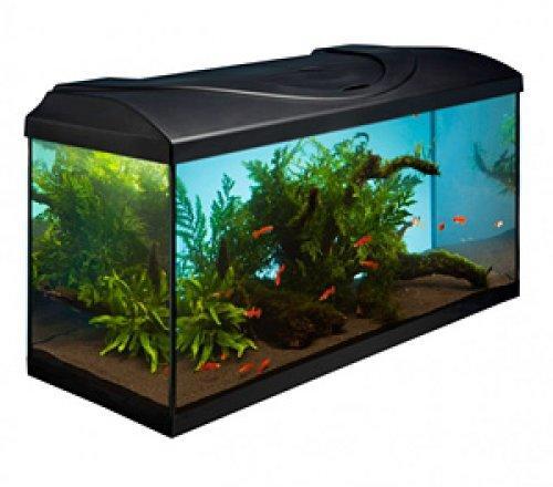 Diversa Acvariu 80 (112 L) (Acvariu) - Preturi