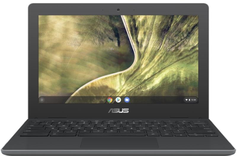 ASUS Chromebook C204EE-GJ0219 Лаптопи Цени, оферти и мнения, каталог на ...