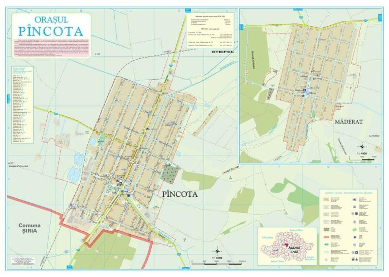 Harta Orașului Pâncota AR - șipci de lemn (Harta de perete) - Preturi