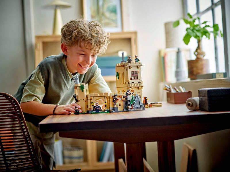 LEGO® Harry Potter™ - Hogwarts Castle: Flying Lessons (76447) (LEGO ...