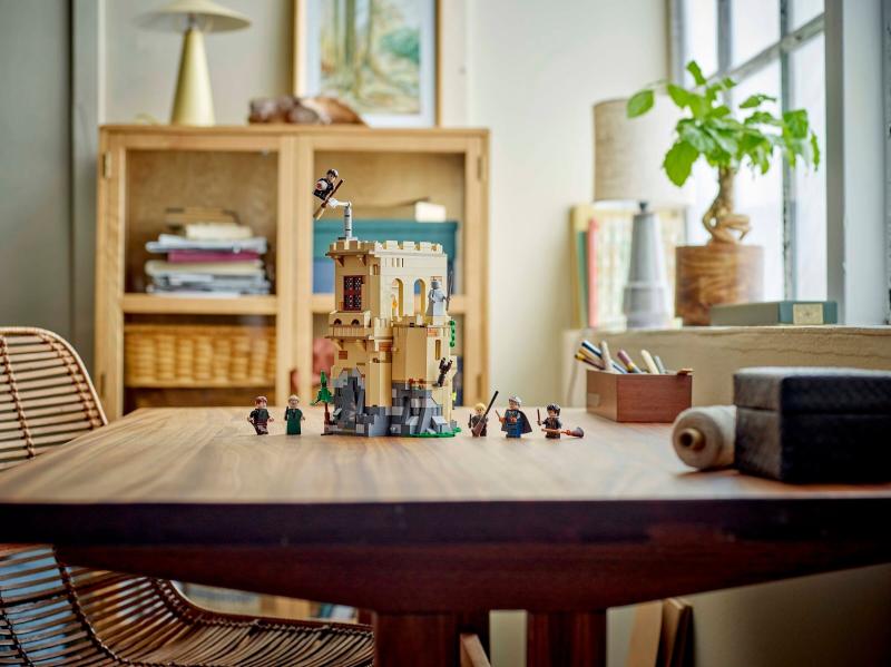 LEGO® Harry Potter™ - Hogwarts Castle: Flying Lessons (76447) (LEGO ...