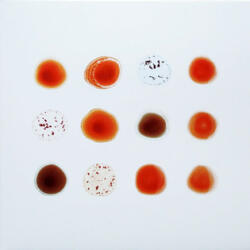 MOV Peter Gabriel - Scratch My Back / And I'll Scratch Yours (LP-uri ...