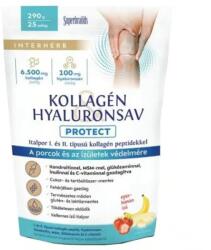 Vásárlás: INTERHERB Kollagén & Hialuronsav Protect porcépítő epres ...