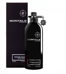 Montale Steam Aoud EDP 100ml Preturi Montale Steam Aoud EDP 100ml Magazine