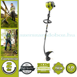 RYOBI RLT254CDSO (Motocoasa) - Preturi