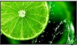 NEC MultiSync E658 60005059 (Display comercial) - Preturi