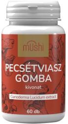 Vásárlás: Mushi Pecsétviasz (Ganoderma) gomba kivonat kapszula 60db ...
