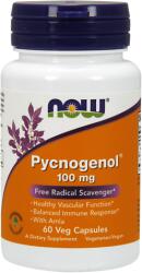 Vásárlás: NOW Pycnogenol 100 mg kapszula 60 db Táplálékkiegészítő árak ...